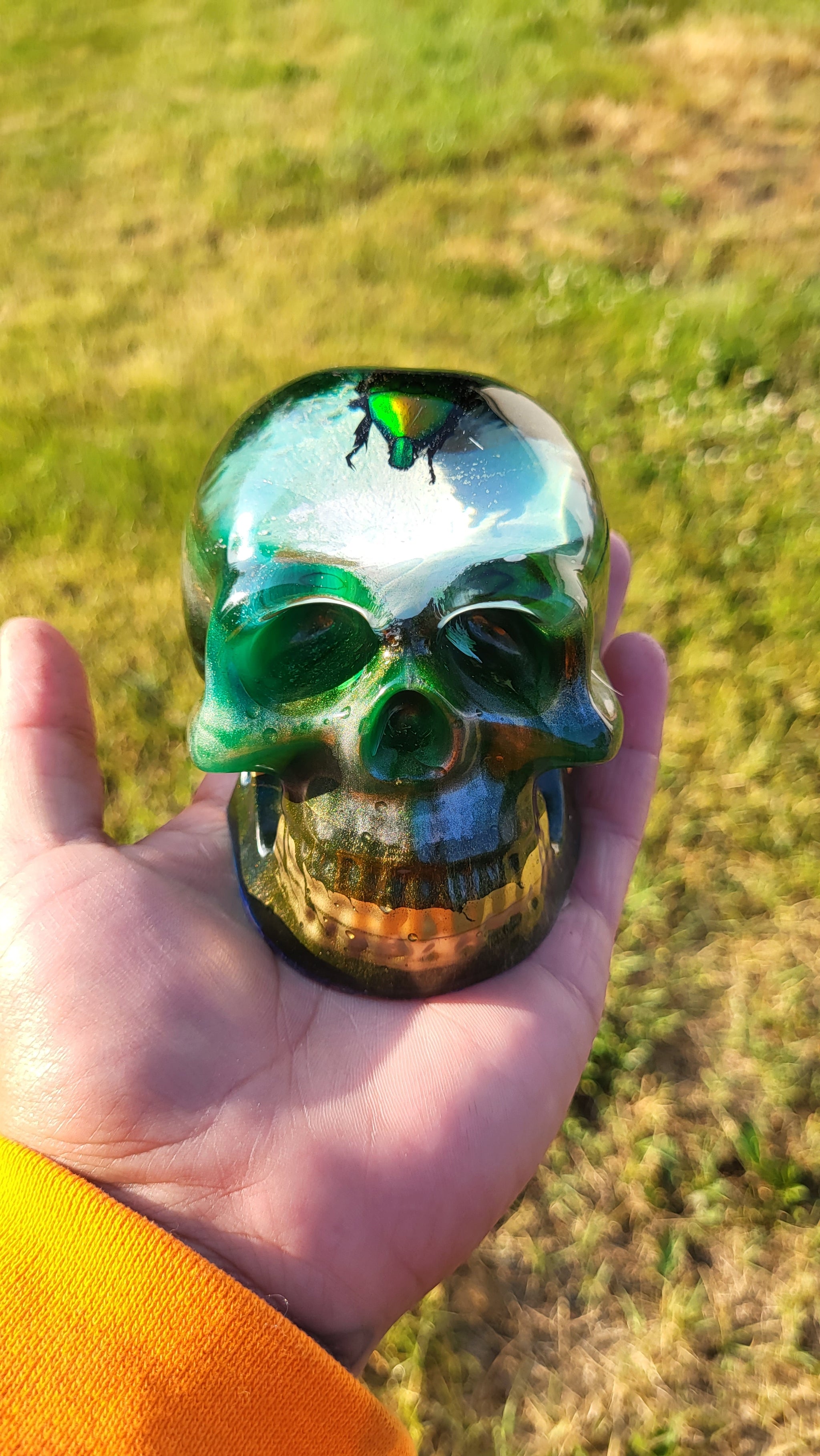 Exotic Beetle Skulls – Nita's Fluid Woodworks